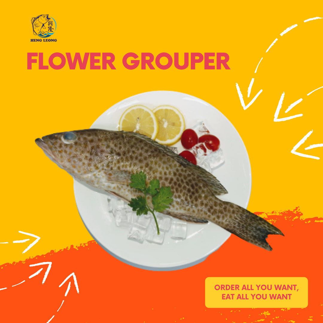 Flower Grouper/花斑鱼 – Heng Leong Seafood